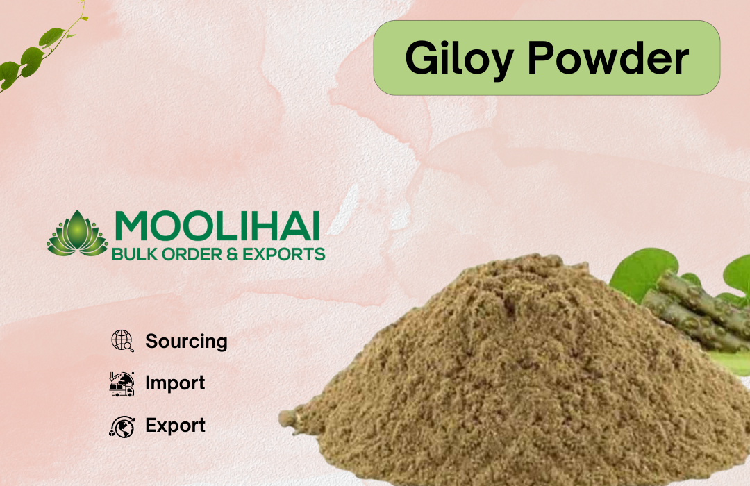 Giloy Benefits- Root of Immortality – Bulk & Wholesale Order – Buy ...